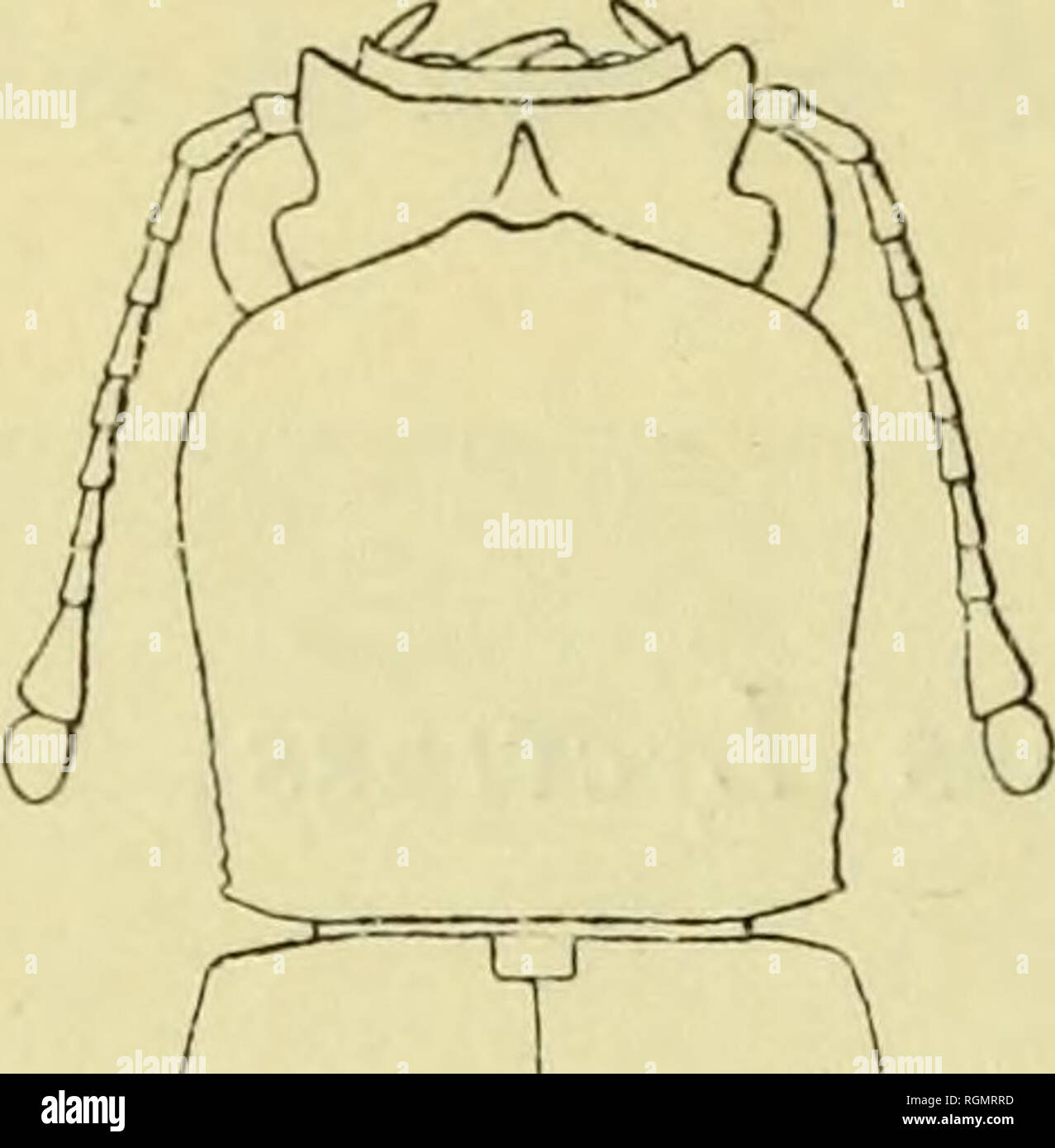 Silum hi-res stock photography and images - Alamy