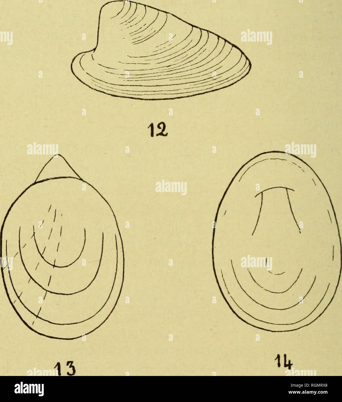 Toukoto hi-res stock photography and images - Alamy