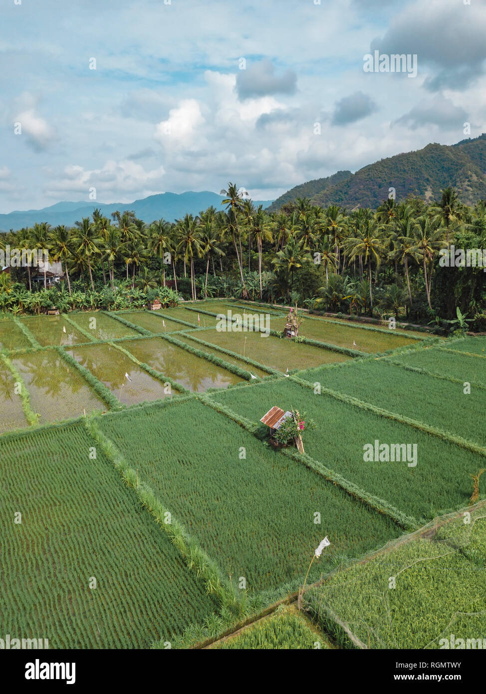 Aerial shot rice fields bali hi-res stock photography and images - Alamy