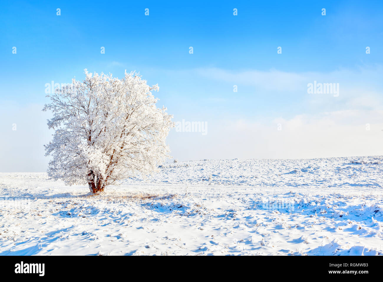 Harsh winter hi-res stock photography and images - Alamy