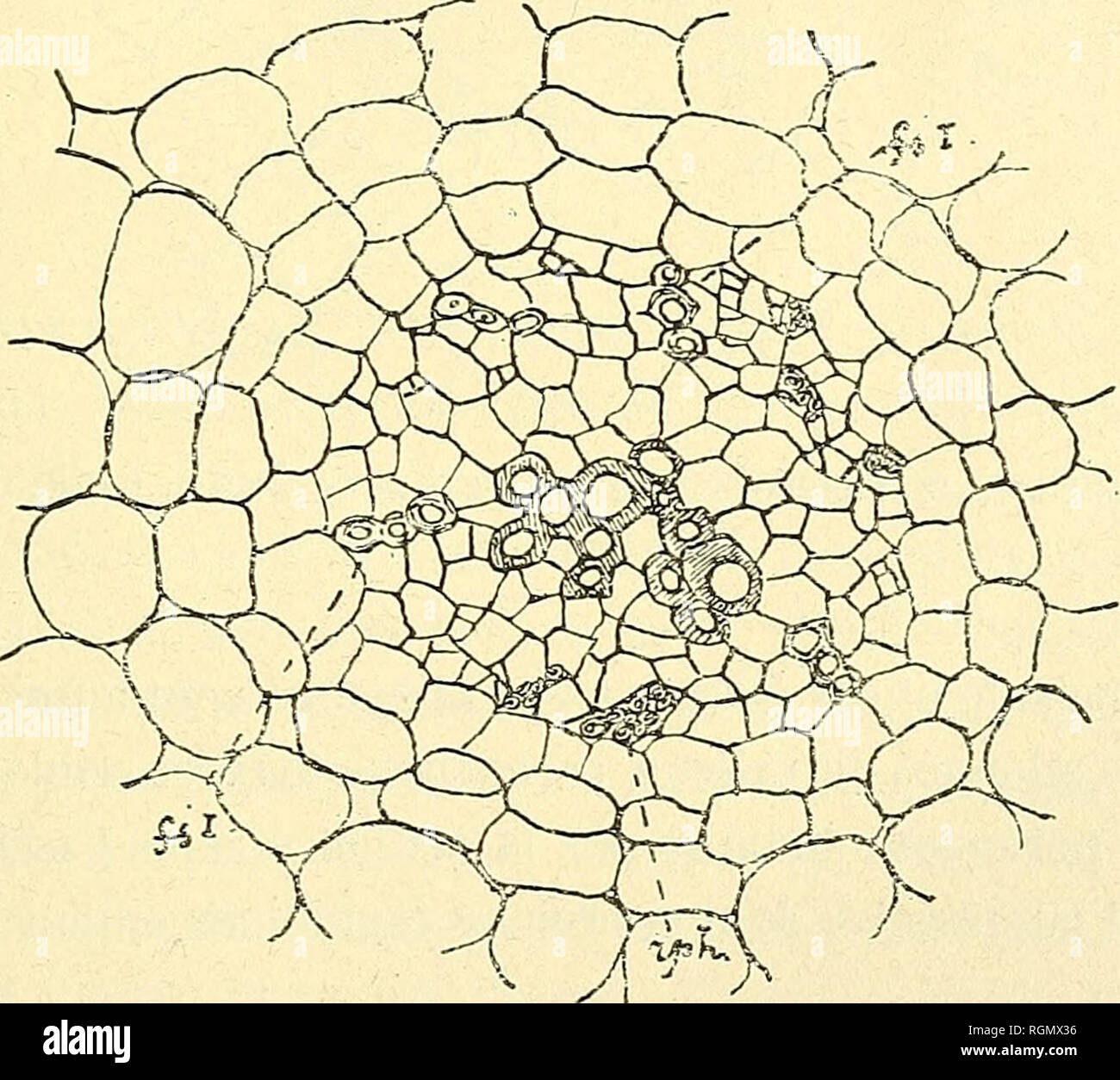 Pont de racine hi-res stock photography and images - Alamy