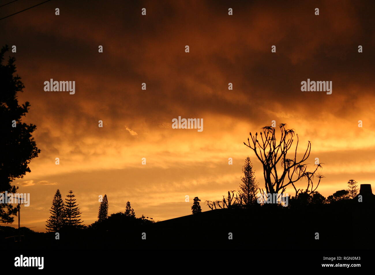 Golden start hi-res stock photography and images - Alamy