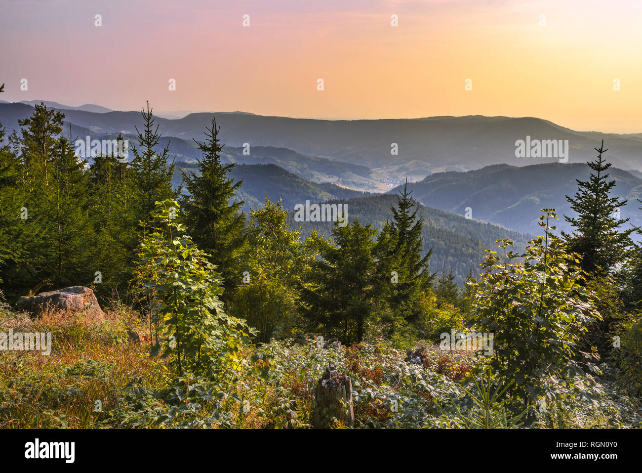 Black forest panorama hi-res stock photography and images - Alamy