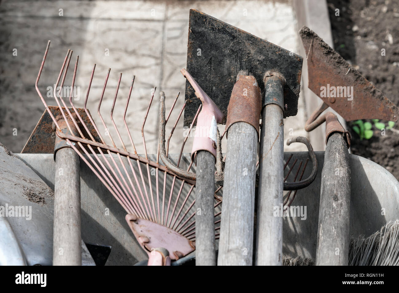 a set of used old dirty garden tools, a rake, shovels, hoes in a ...