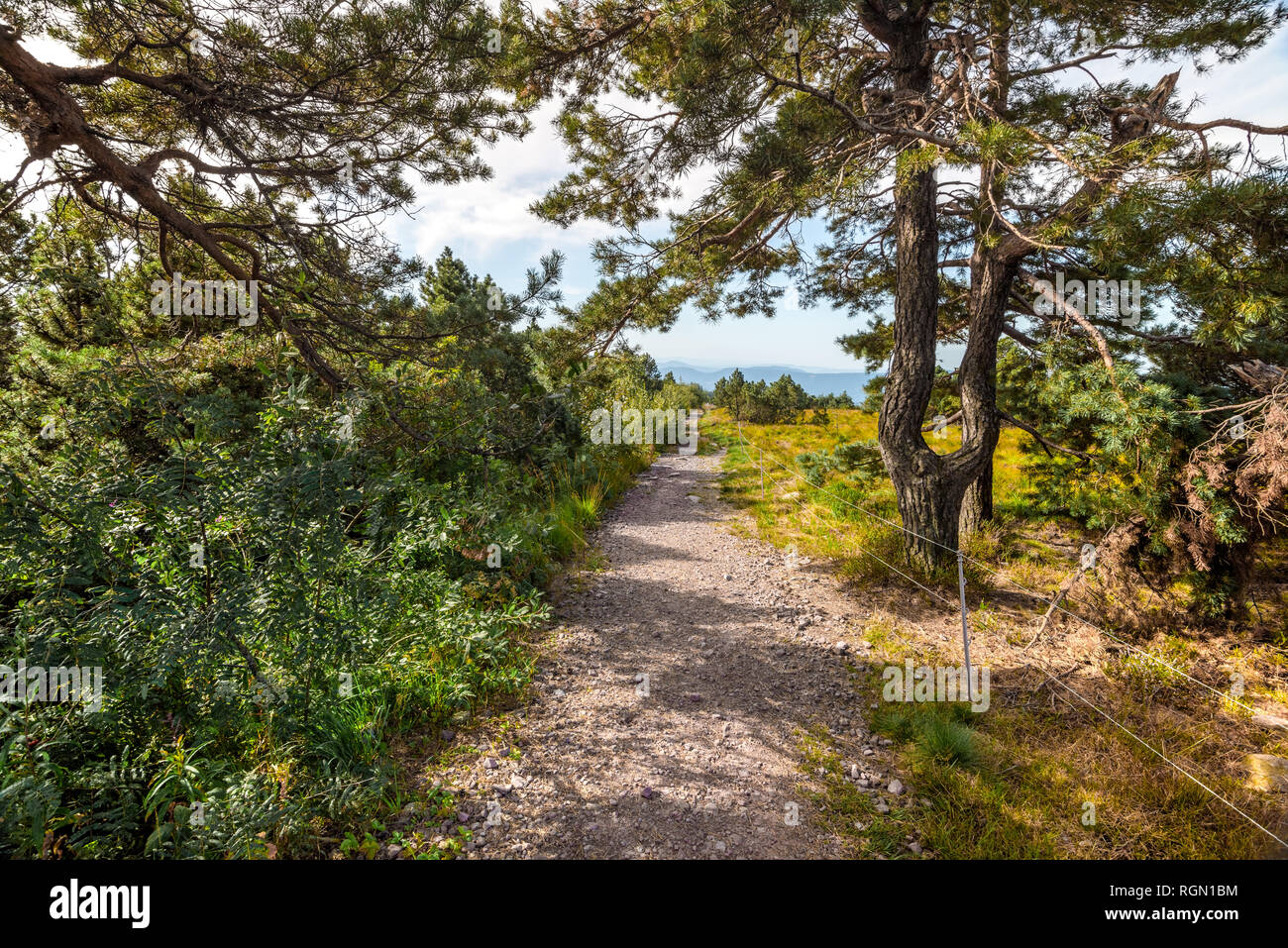 Open landscape hi-res stock photography and images - Alamy