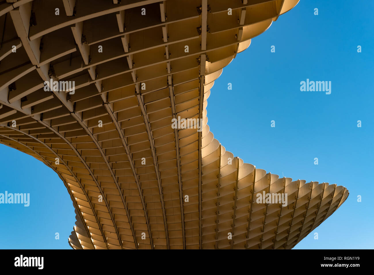 The famous wooden structure and landmark Metropol Parasol, which is ...
