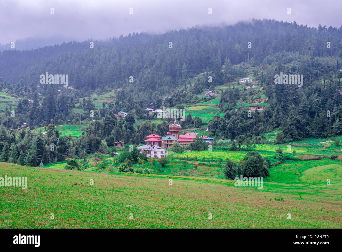 Panoramic view of green meadows in himalayas, Great Himalayan National ...