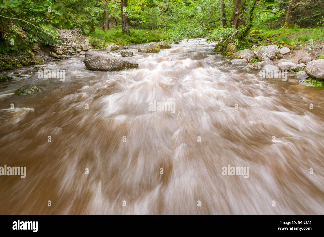 Fast flowing river rocks trees hi-res stock photography and images - Alamy