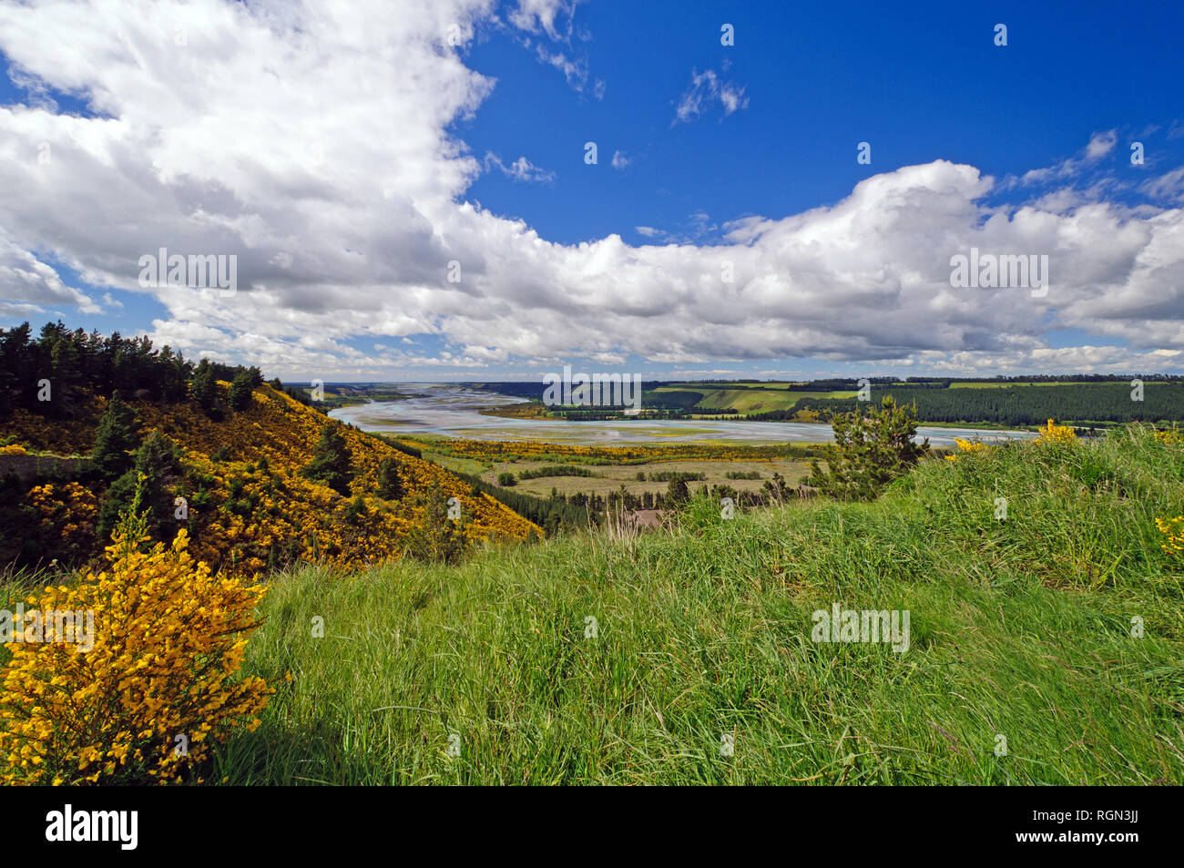The Rangitata River Valley in New Zealand in Spring Stock Photo - Alamy