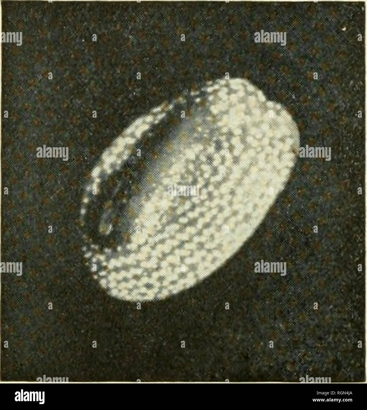 Hatching yellow lines hi-res stock photography and images - Alamy