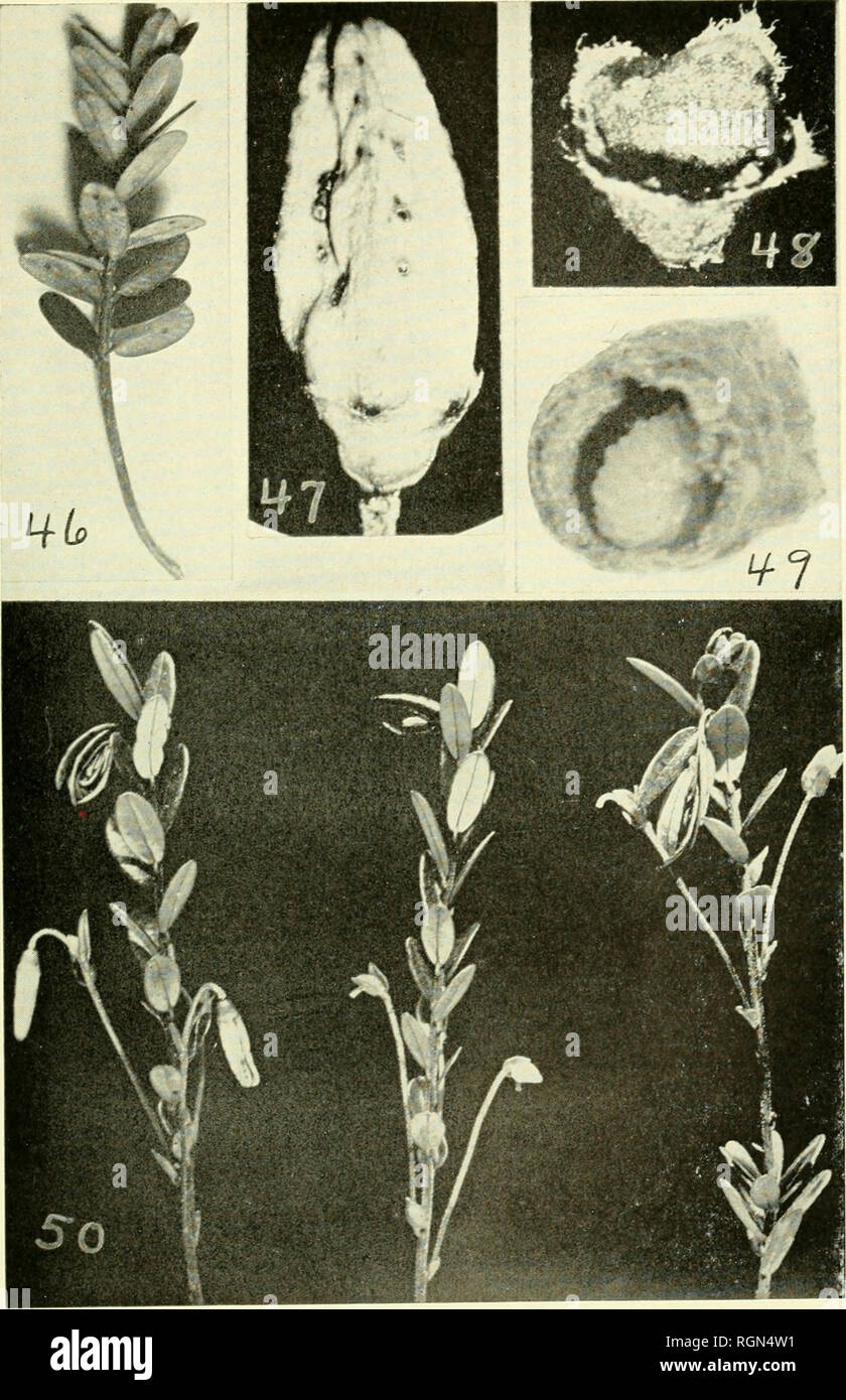 . Bulletin - Massachusetts Agricultural Experiment Station. Agriculture ...