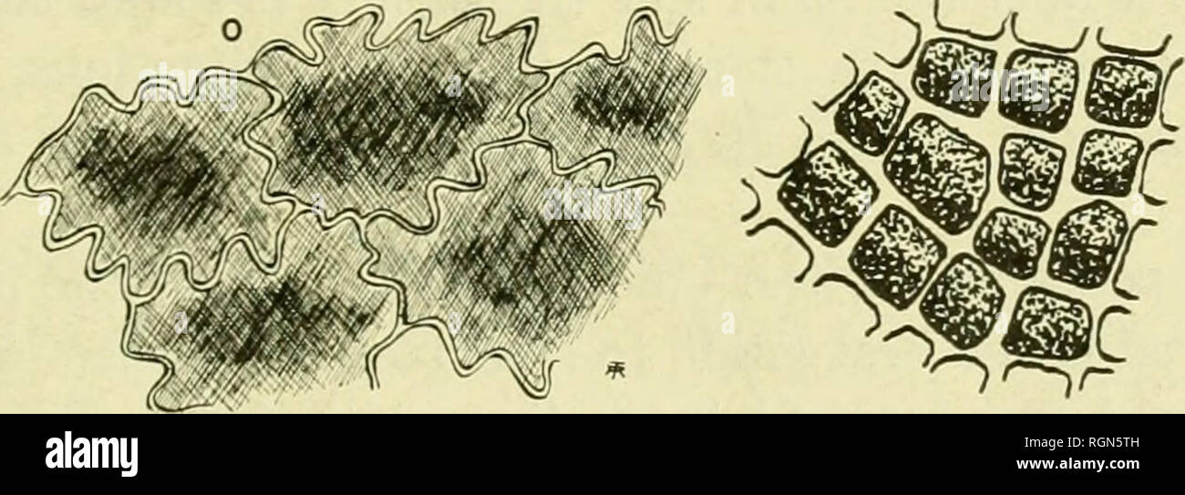 . Bulletin - Massachusetts Agricultural Experiment Station. Agriculture ...