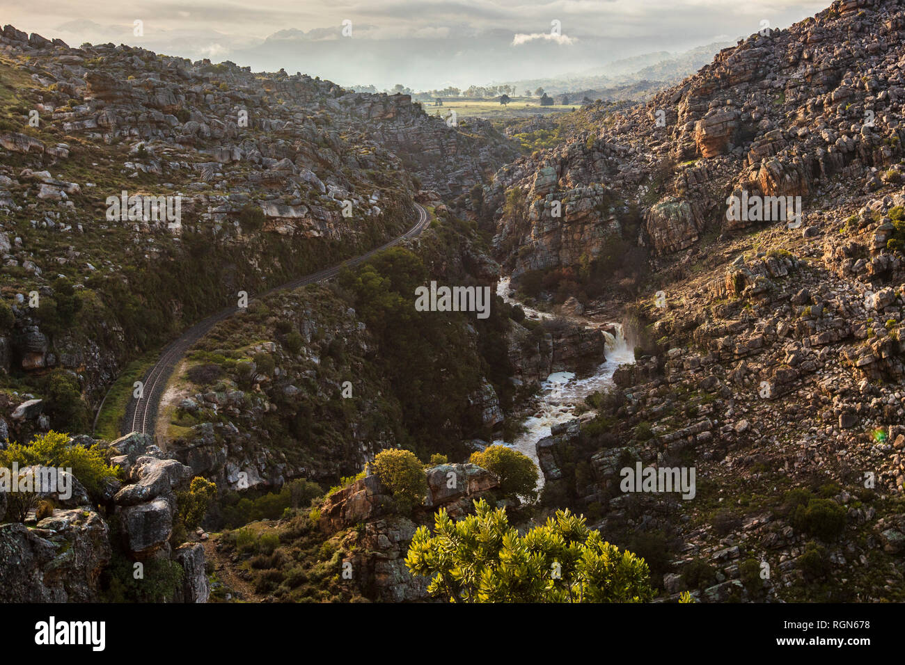 South Africa, Western Cape, river Stock Photo - Alamy