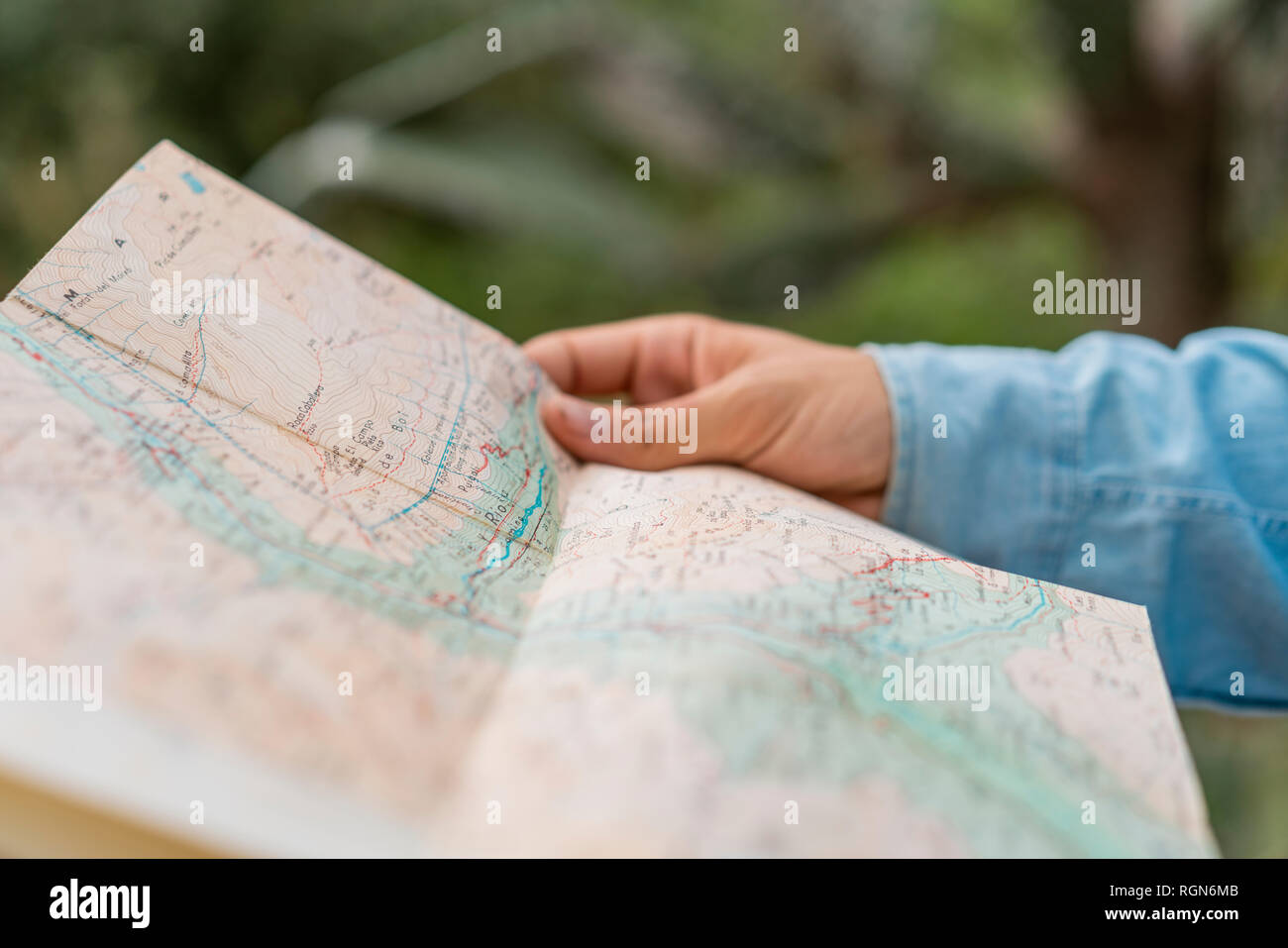 Young man standing in nature, looking at map Stock Photo - Alamy