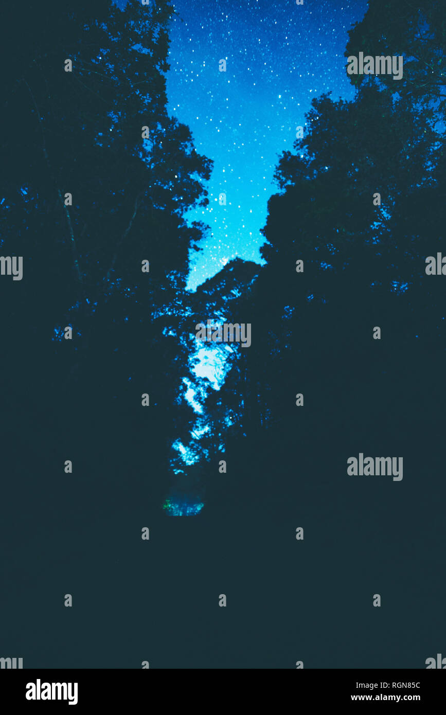 tree and blue sky, star and milky way Stock Photo - Alamy