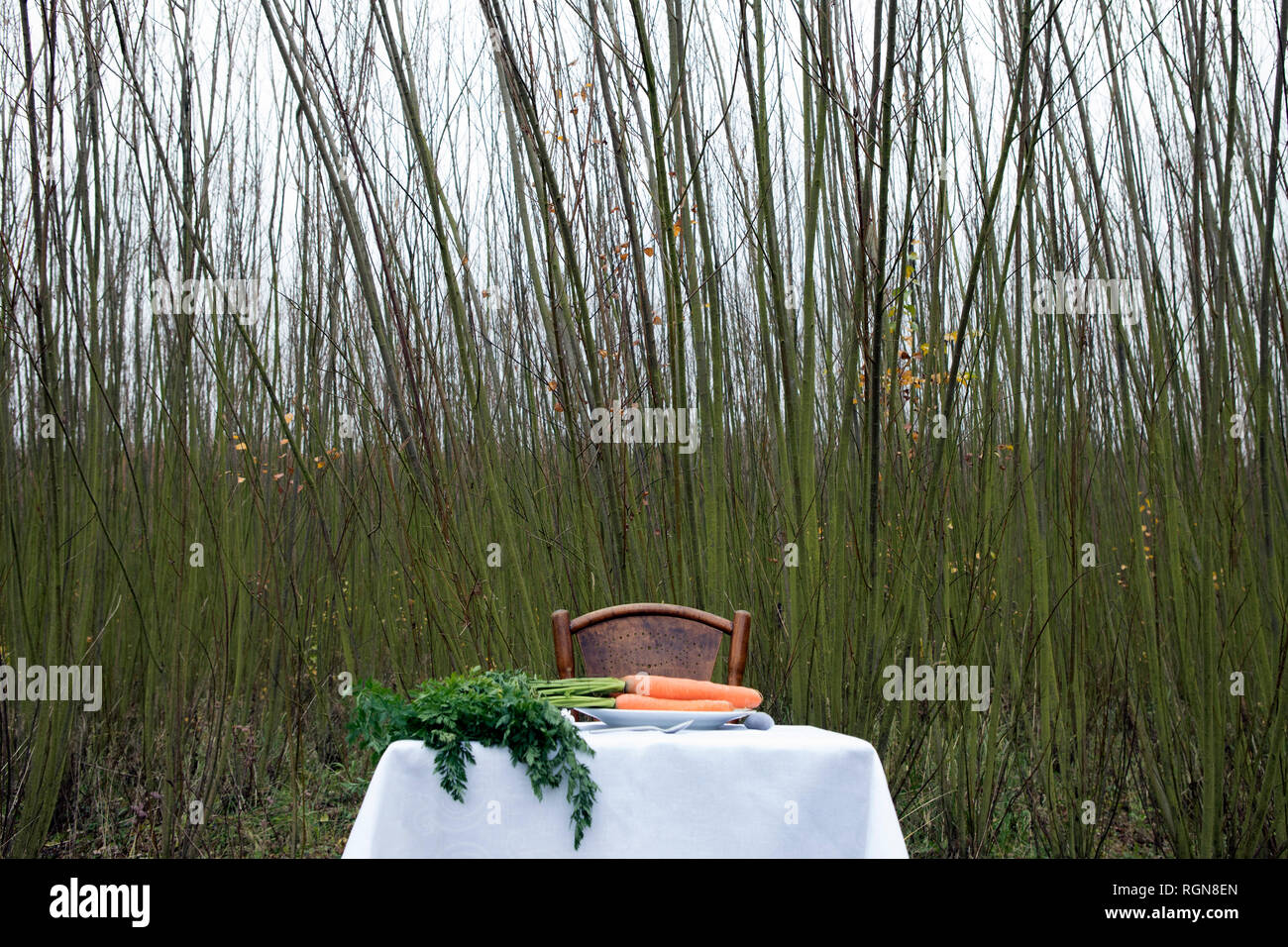 Dinner for one, laid table, bunch of carrots Stock Photo - Alamy