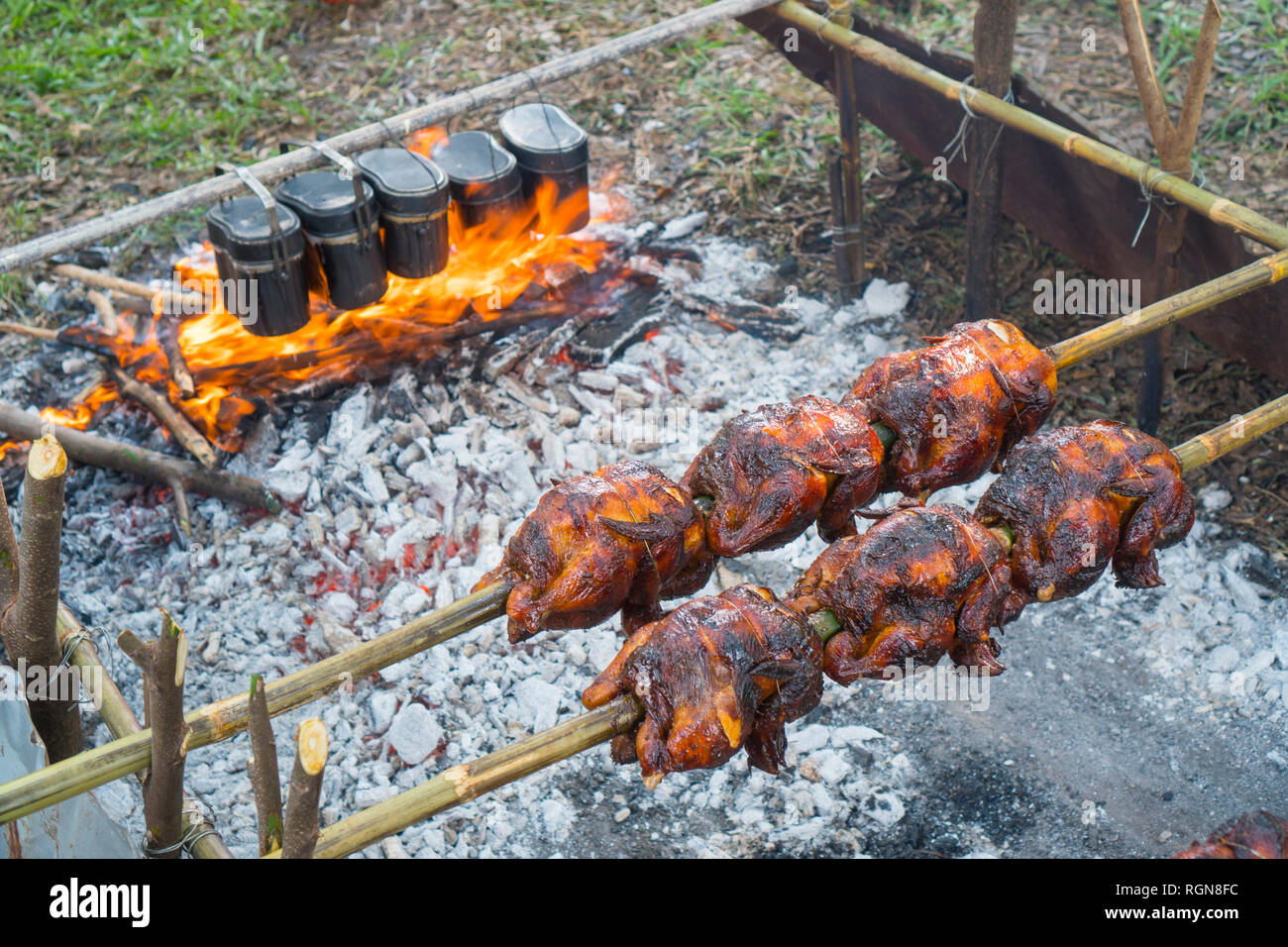 Grilled chicken for camping activities Stock Photo - Alamy