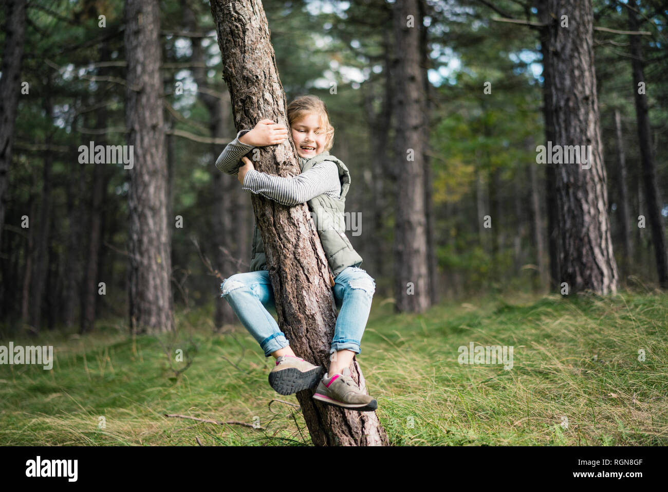 Hugging tree forest hi-res stock photography and images - Alamy
