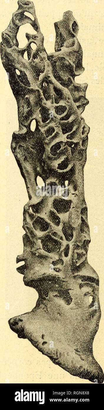 Objets trouvé hi-res stock photography and images - Alamy