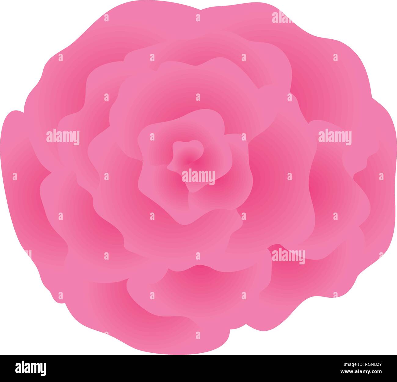 beautiful rose isolated icon Stock Vector Image & Art - Alamy