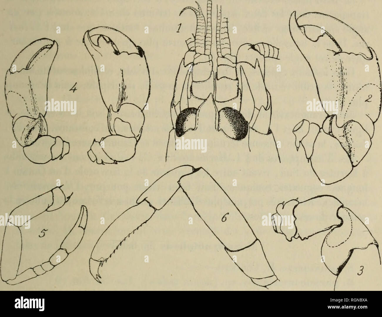Pointe du doigt hi-res stock photography and images - Alamy