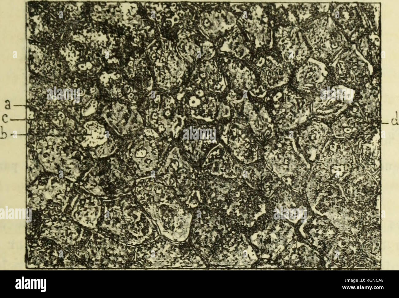 Masse noire hi-res stock photography and images - Alamy