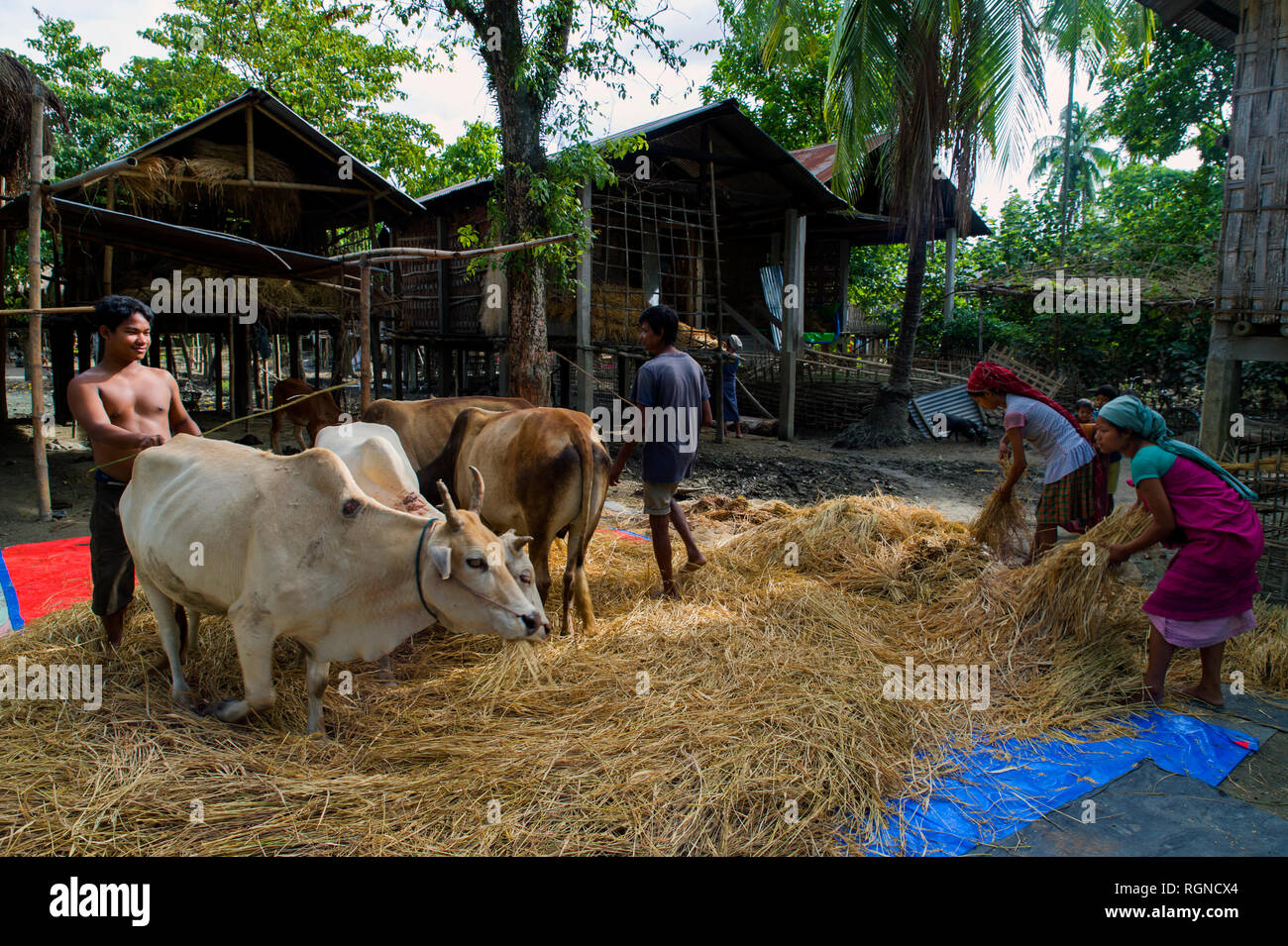 Majuli people hi-res stock photography and images - Alamy