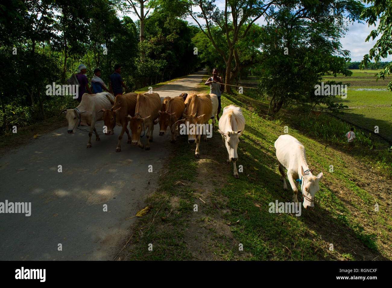 Majuli people hi-res stock photography and images - Alamy
