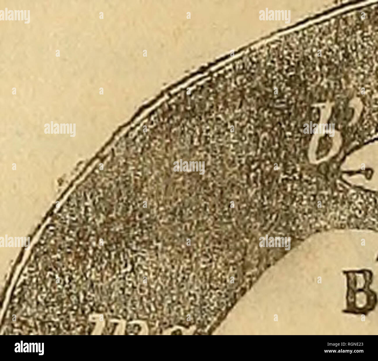 . Bulletin de la SociÃ©tÃ© gÃ©ologique de France. Geology. 702 DOUYILLÃ ...