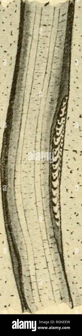 I ioe e hi-res stock photography and images - Alamy