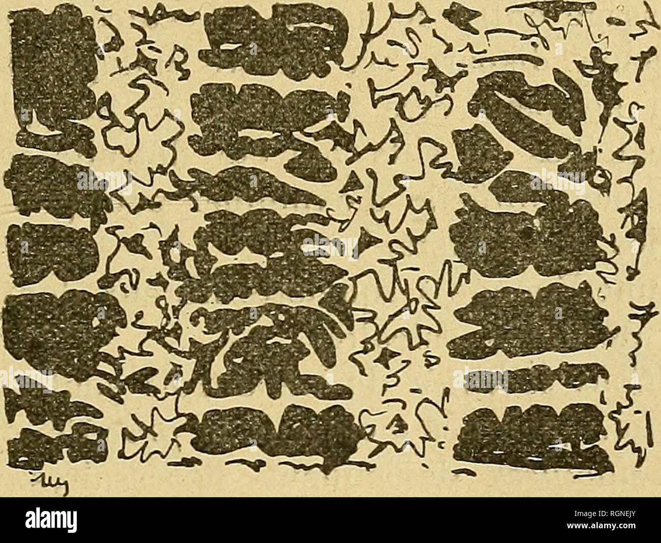 Sudmerberg hi-res stock photography and images - Alamy
