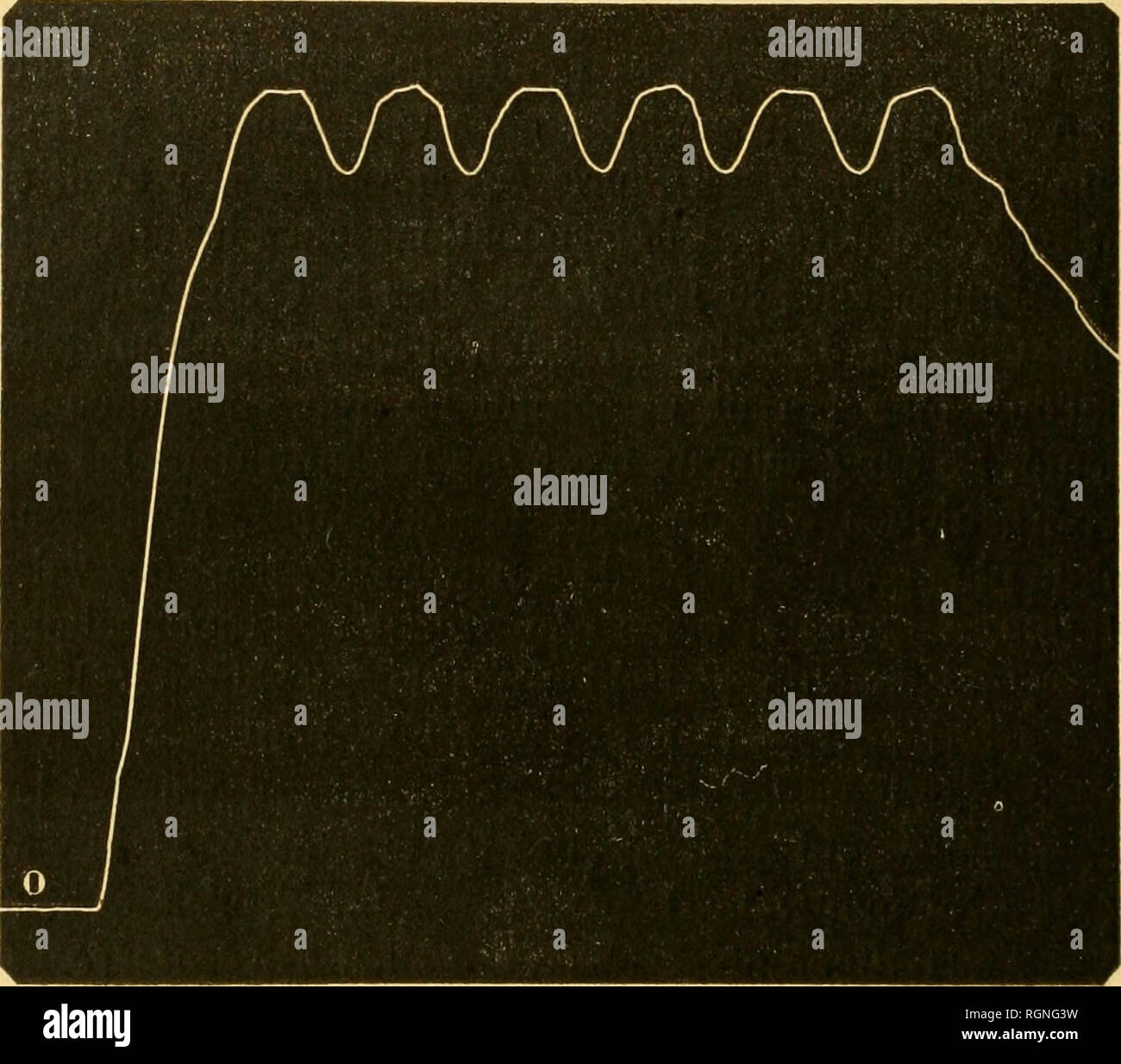 . Bulletin de la Station Biologique d'Arcachon. Zoology. 10 SOCIÃTÃ ...