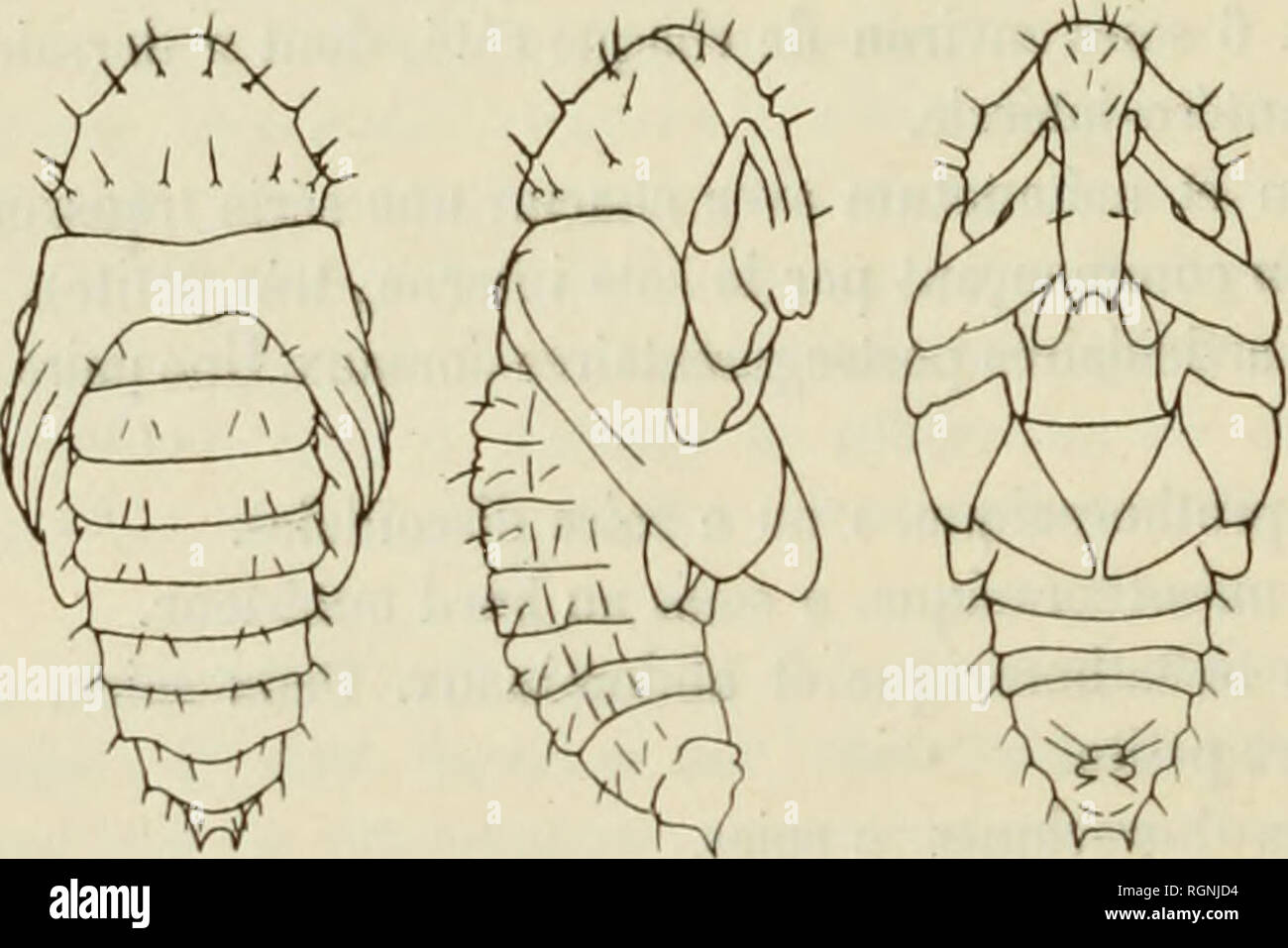 Fice structure hi-res stock photography and images - Alamy