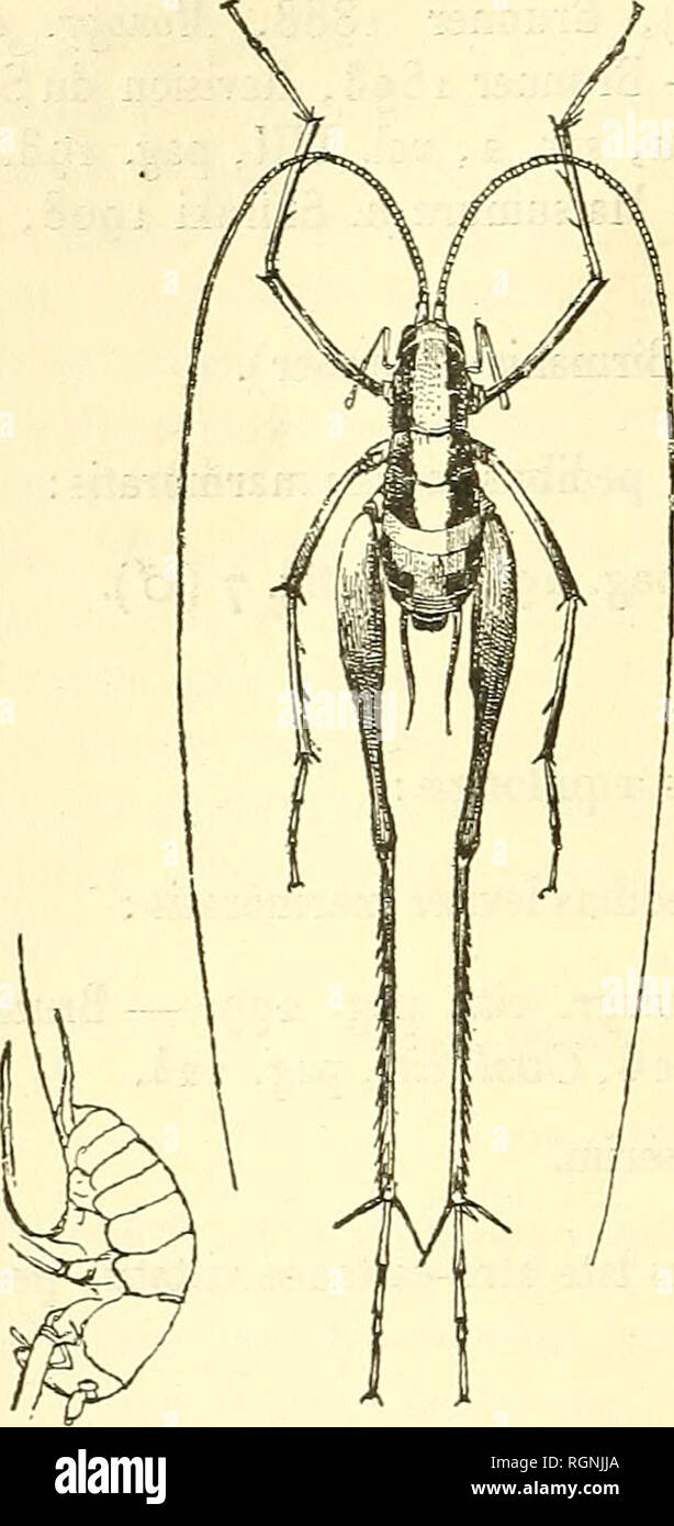 Fundo pro hi-res stock photography and images - Alamy