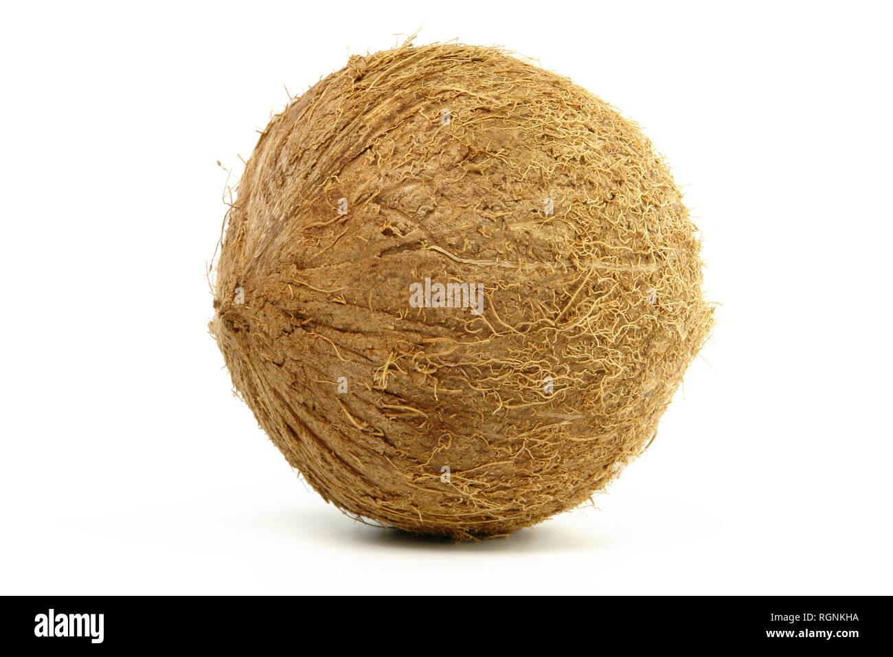 Single Coconut isolated on white background Stock Photo - Alamy