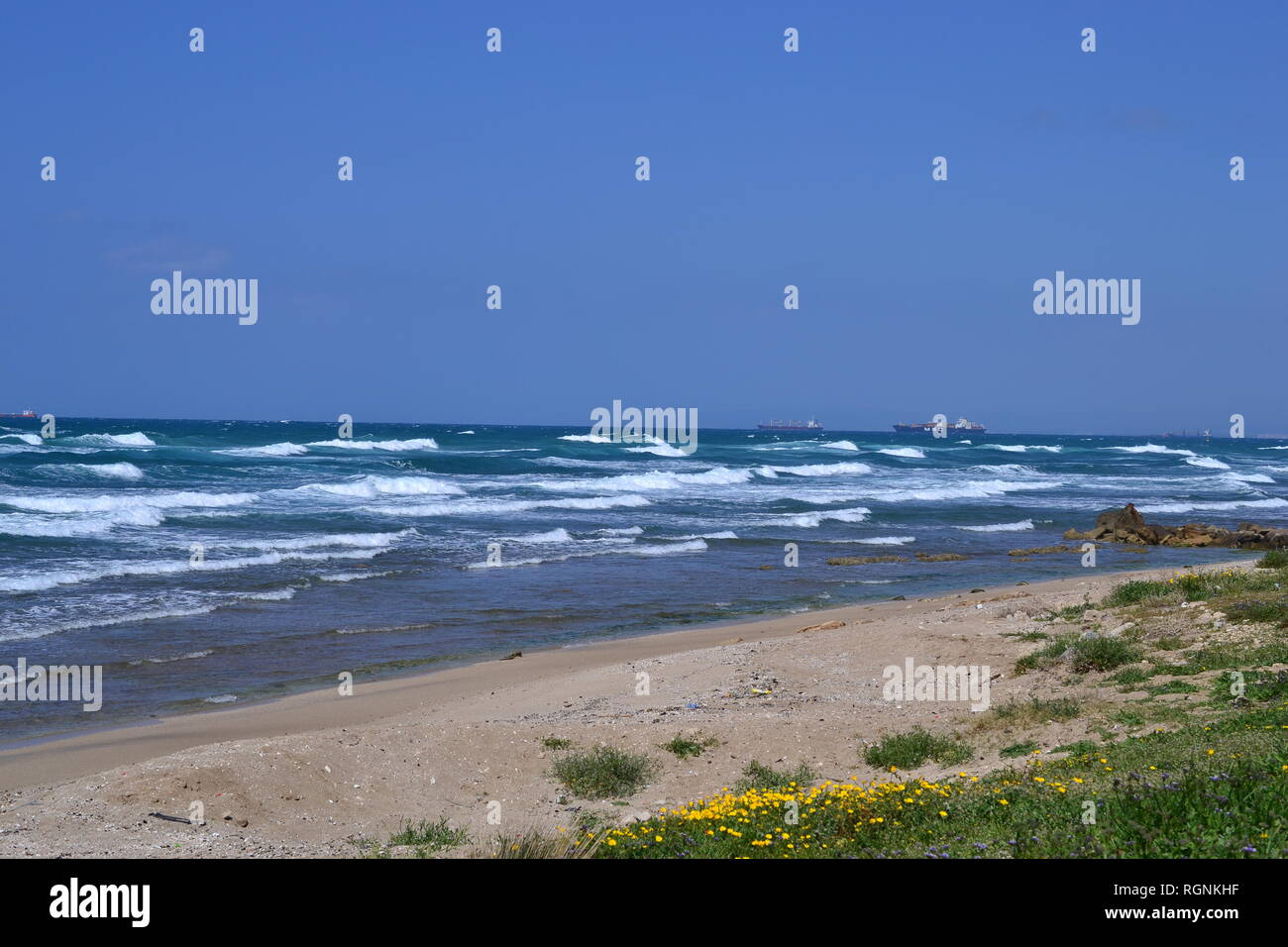 Hike to Stella Maris in Haifa in Spring- flowery path and holy family ...