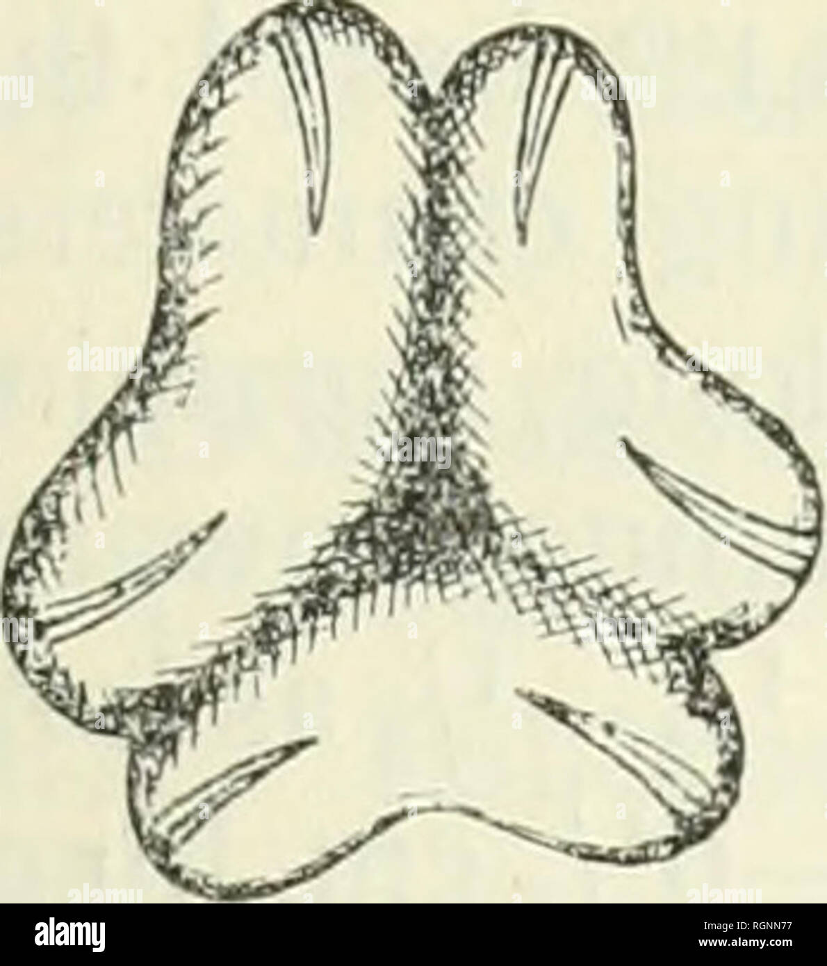 Crasse hi-res stock photography and images - Alamy