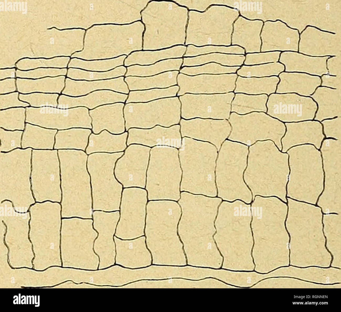 La forma en que se ve hi-res stock photography and images - Alamy