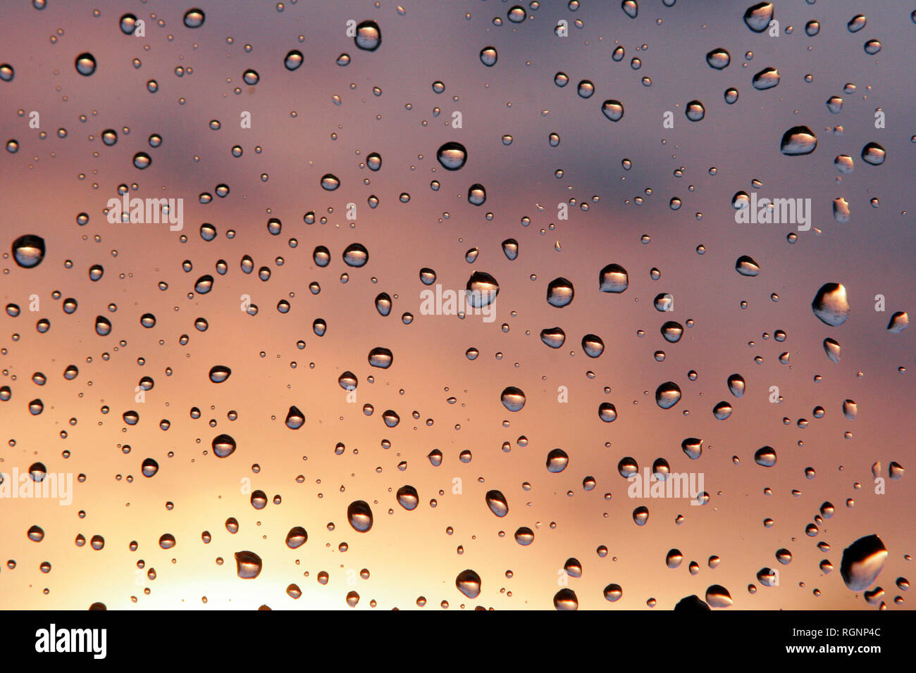Rain blob hi-res stock photography and images - Alamy