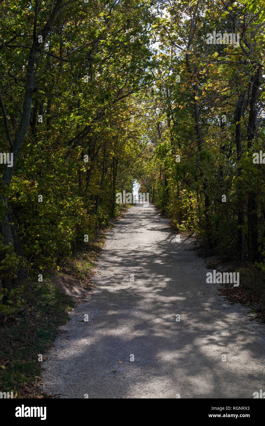 Point Pelee National park Windsor Ontario Canada Stock Photo - Alamy