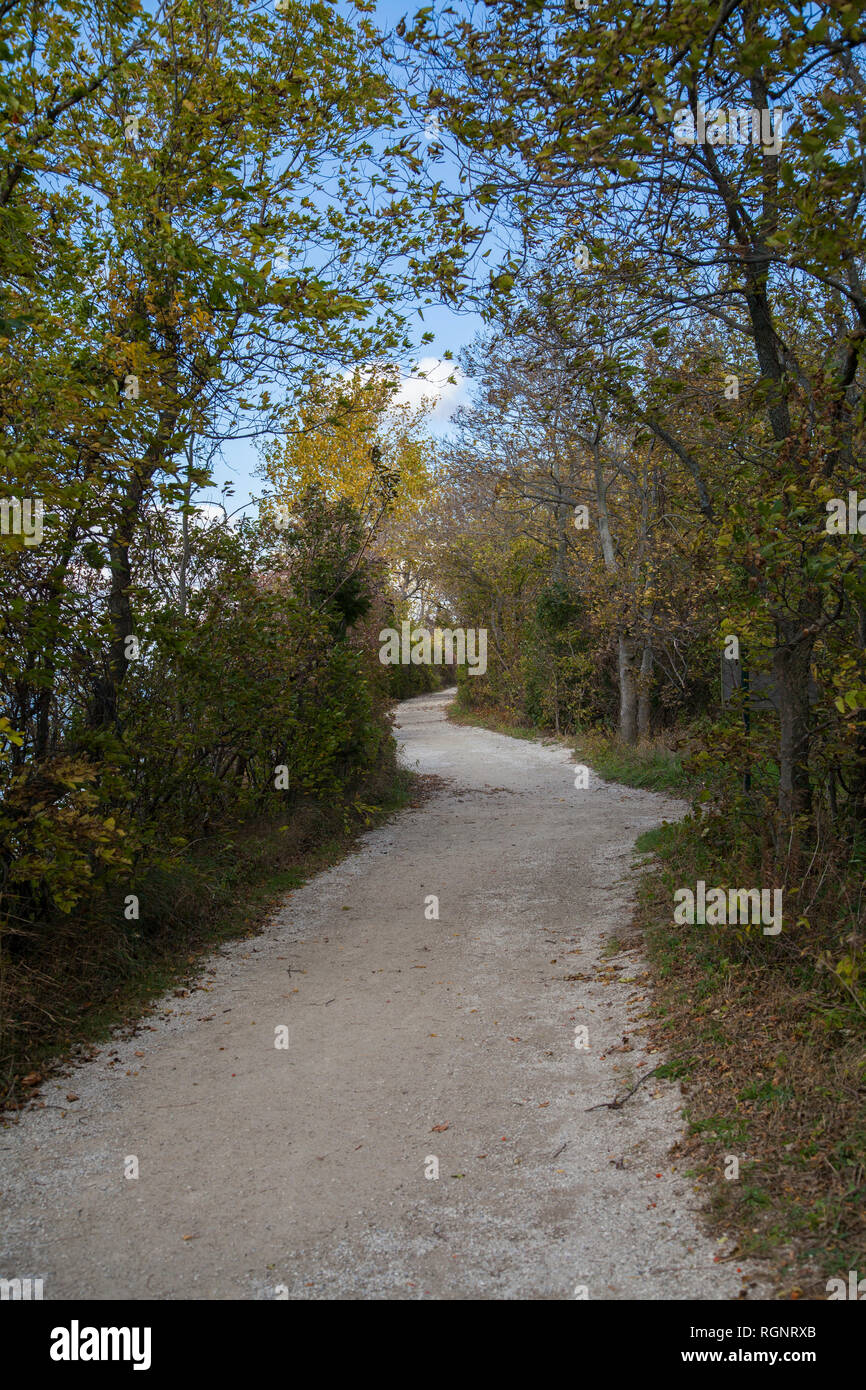 Point Pelee National park Windsor Ontario Canada Stock Photo - Alamy