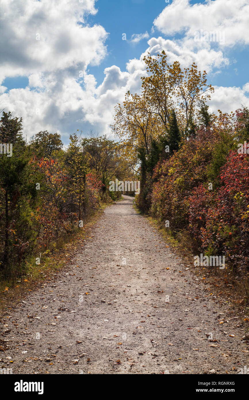 Point Pelee National park Windsor Ontario Canada Stock Photo - Alamy