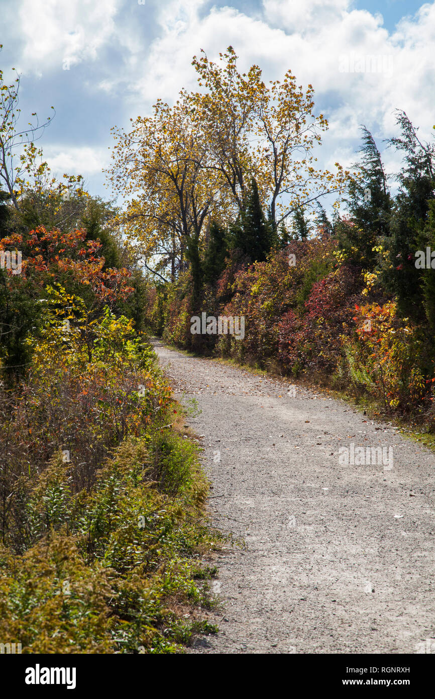 Point Pelee National park Windsor Ontario Canada Stock Photo - Alamy