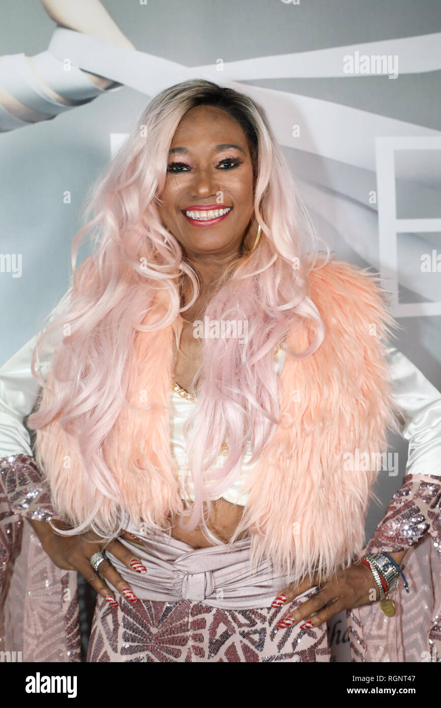 'Unleeshed' Holiday Benefit Gala for Divine Homeless Project held at ...