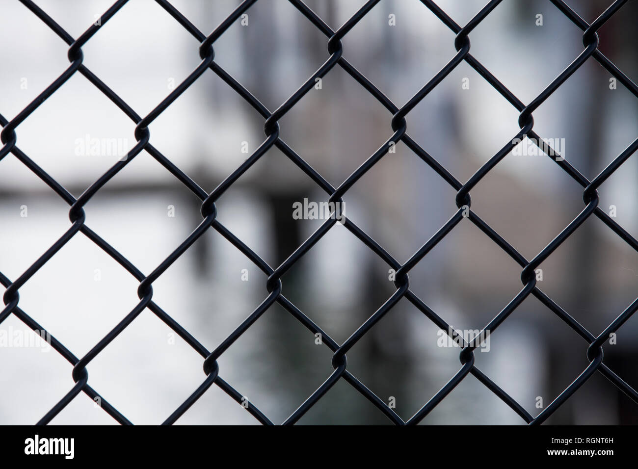 Close up of chicken wire fence Stock Photo - Alamy