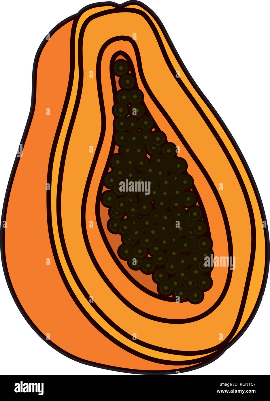 papayo fresh fruit icon Stock Vector Image & Art - Alamy