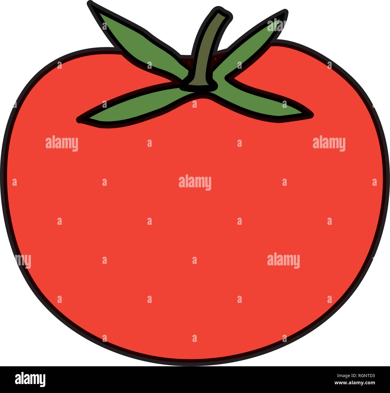 fresh tomato vegetable icon Stock Vector Image & Art - Alamy