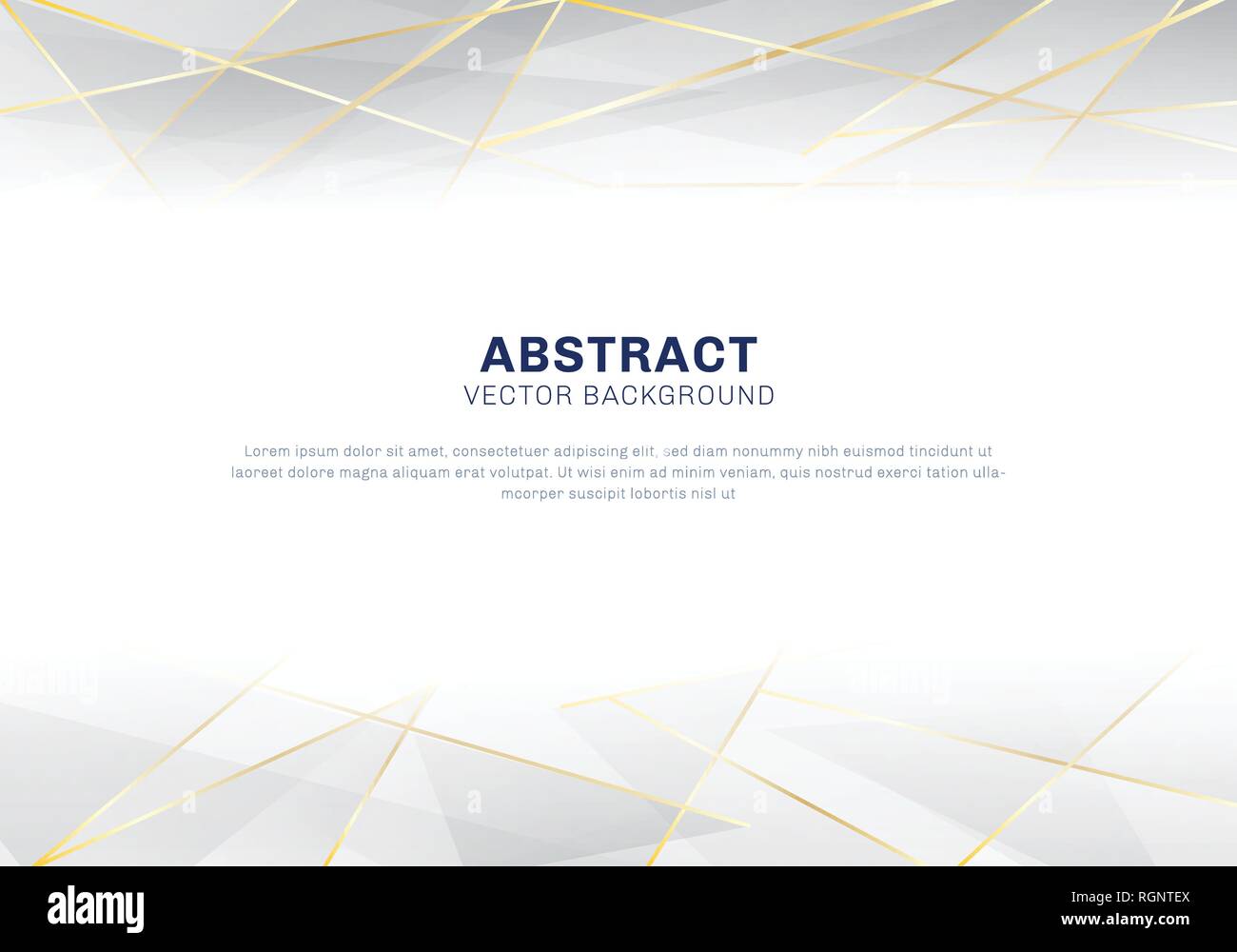 Abstract polygonal pattern luxury on white and gray header background ...