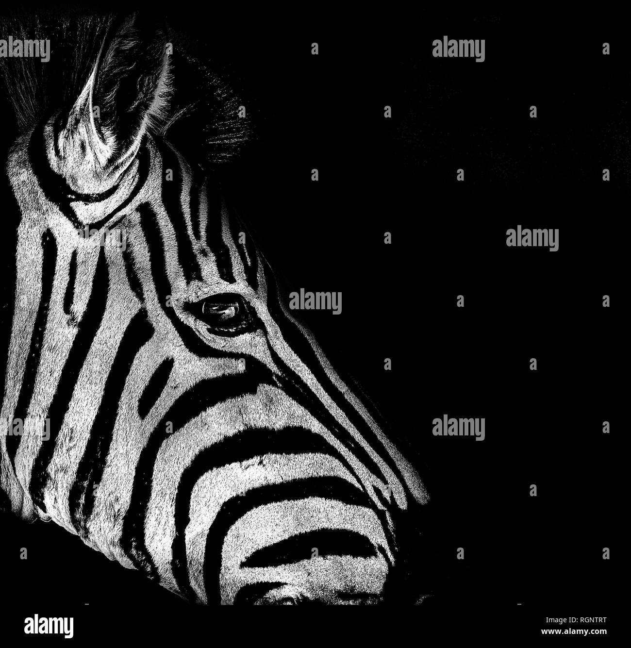 Tourism poster africa Black and White Stock Photos & Images - Alamy