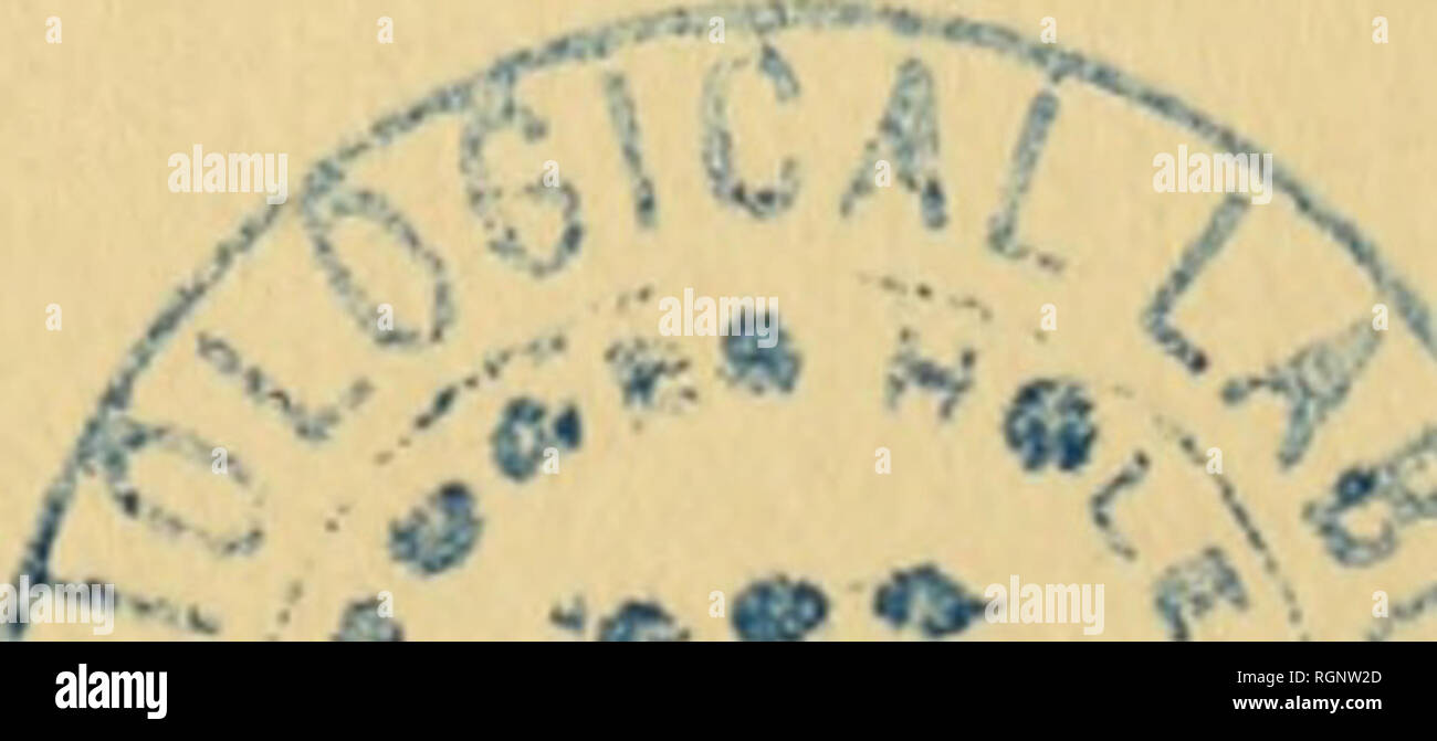 . Bulletin de la SociÃ©tÃ© royale de botanique de Belgique. SociÃ©tÃ ...